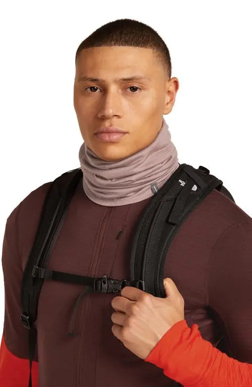 Icebreaker Oasis Flexi Chute Neck Gaiter