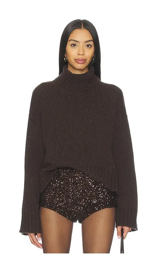 ANIYE BY Chris Turtleneck Sweater