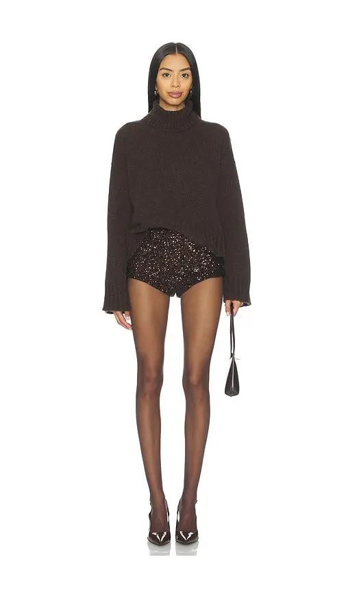 ANIYE BY Chris Turtleneck Sweater