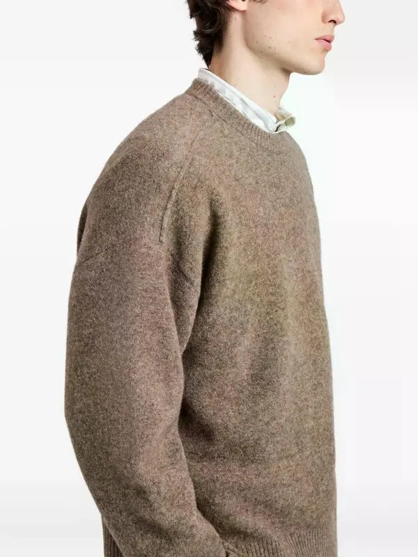 Proenza Schouler Charles Sweater - Brown