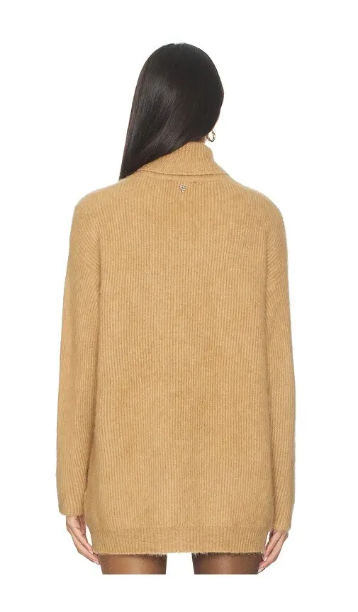 ANIYE BY Maddy Ribbed Turtleneck