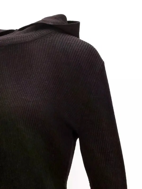 P.a.r.o.s.h Ribbed Hooded Body