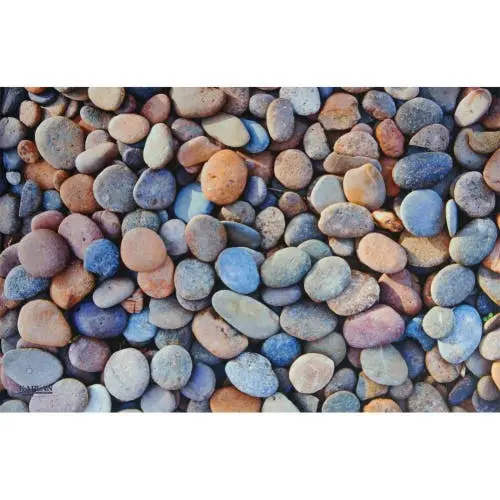 KAPLAN EARLY LEARNING COMPANY Stem Play Matvibrant Real Image Mat