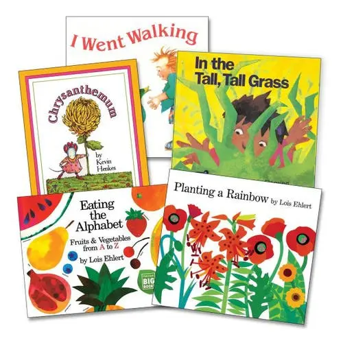 KAPLAN EARLY LEARNING COMPANY Big Book Starter Setset Of 5 - Multicolor