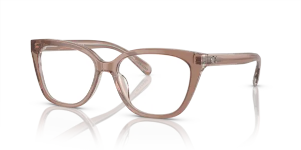 COACH Hc6226u Eyeglasses - Transparent Brown,grey