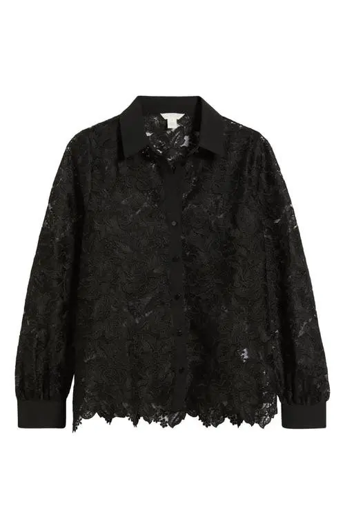 Caslon Long Sleeve Lace Button-up Shirt