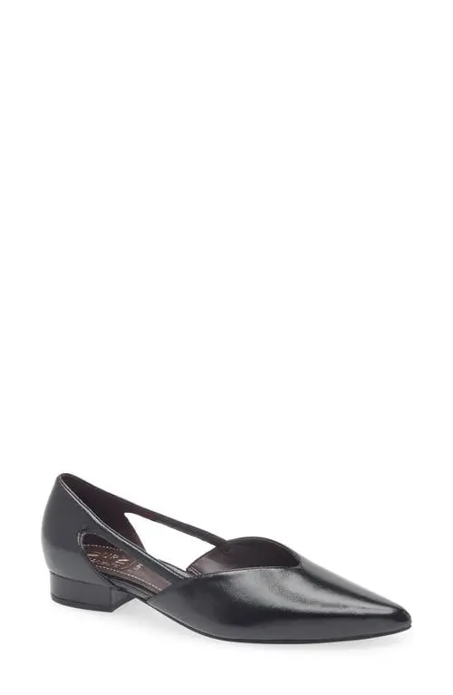 27 EDIT NATURALIZER Sydney Pointed Toe Flat - Black
