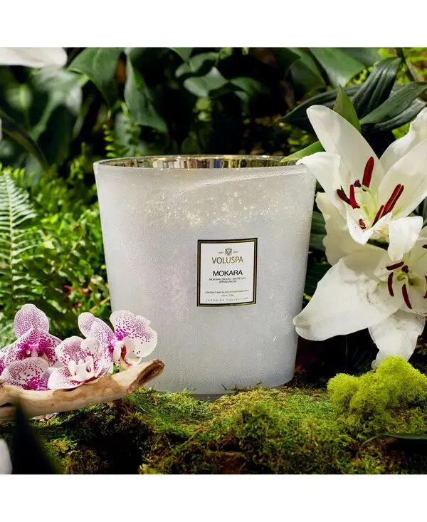 Voluspa Mokara Orchid Candle 123 Oz