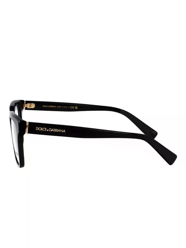 Dolce & Gabbana Acetate Rectangle Glasses