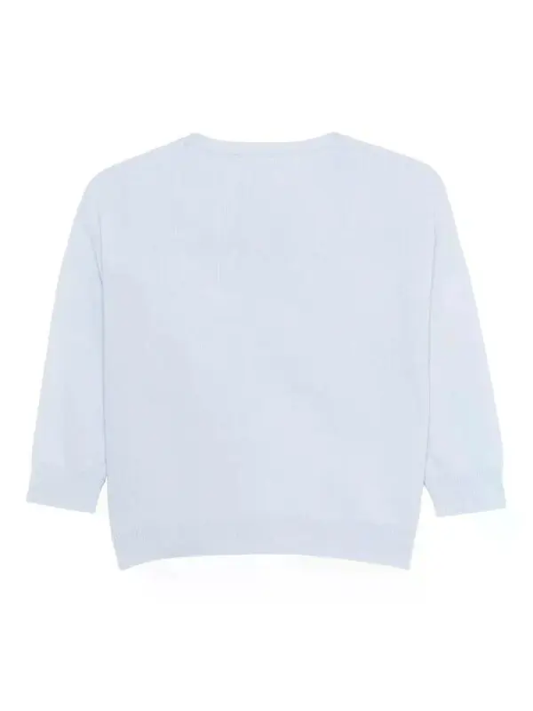 SAPIO Crew-neck Fine Knit Sweater - Blue