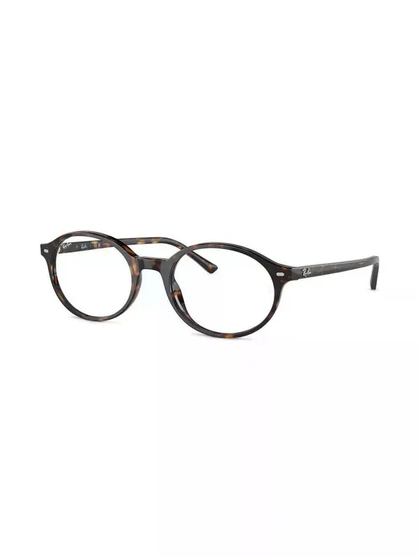 Ray-ban German Round-frame Eyeglasses