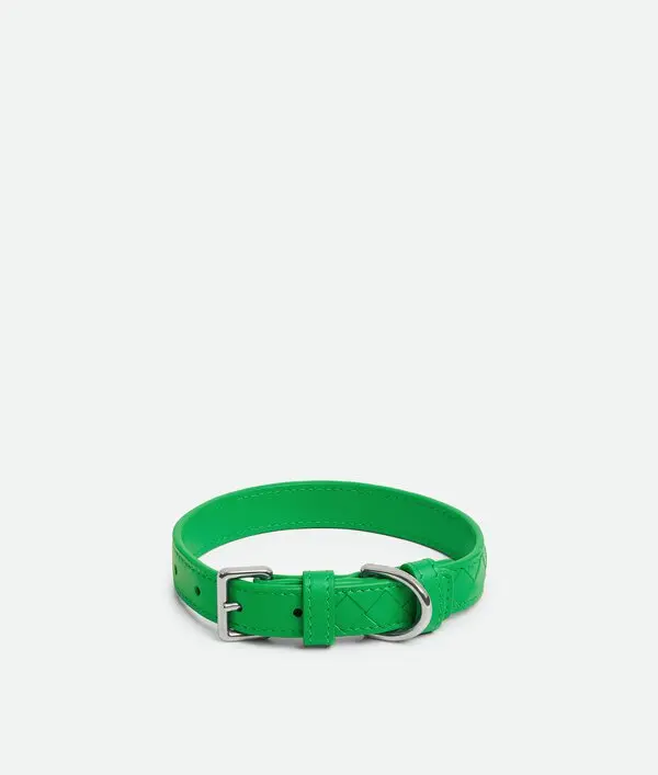 Bottega Veneta Small Intrecciato Dog Collar - Parakeet