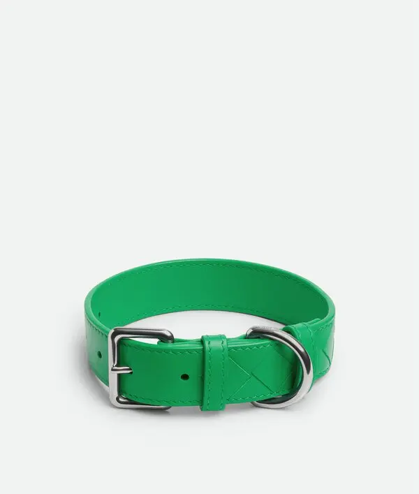 BOTTEGA  VENETA Medium Intrecciato Dog Collar - Parakeet