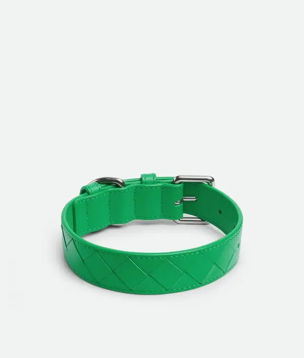 Bottega Veneta Medium Intrecciato Dog Collar