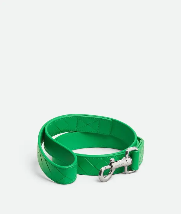 Bottega Veneta Medium Intrecciato Dog Leash - Parakeet