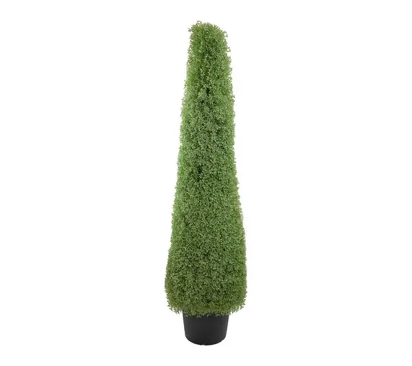 NORTHLIGHT 5' Boxwood Cone Topiary Tree In Roun Pot - One-color