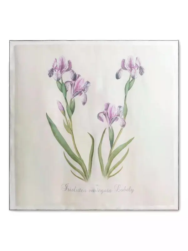 Alberta Ferretti Floral Silk Scarf - Neutrals