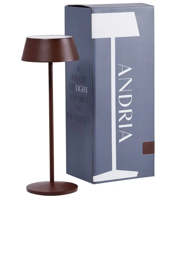 THE FAVORITES Andria Rechargeable Table Light - Rust
