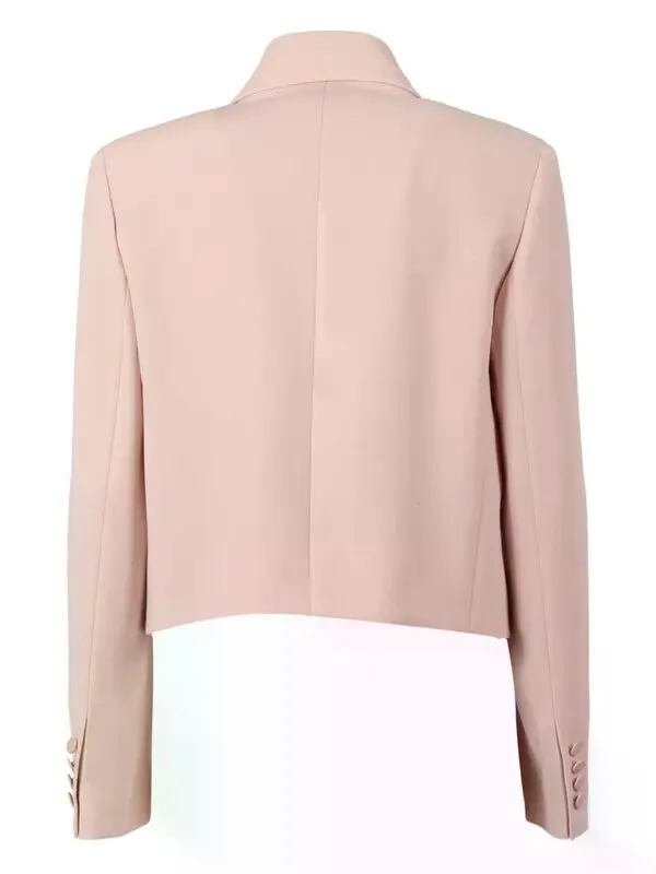 Max Mara Caprera Double-breasted Jacket - Pink