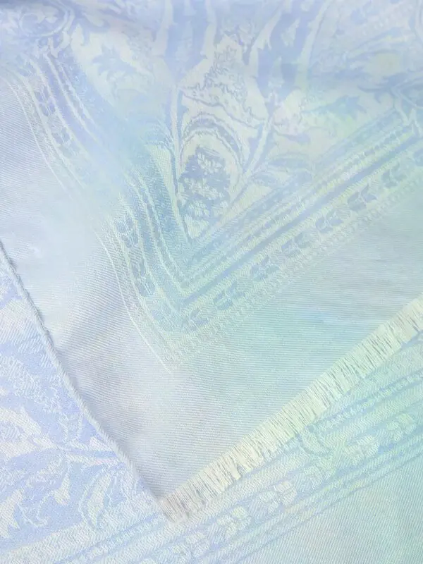 Etro Floral Paisley Jacquard Scarf - Blue