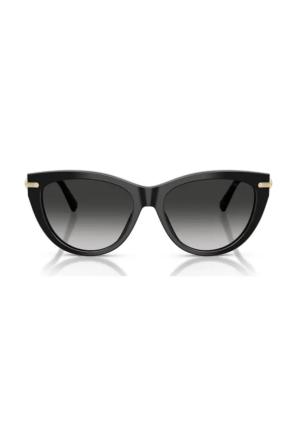 TIFFANY SUNGLASS HUT Cat Eye Sunglasses