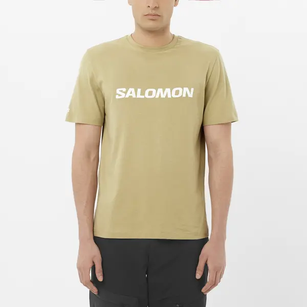 SALOMON Logo - Gray Green