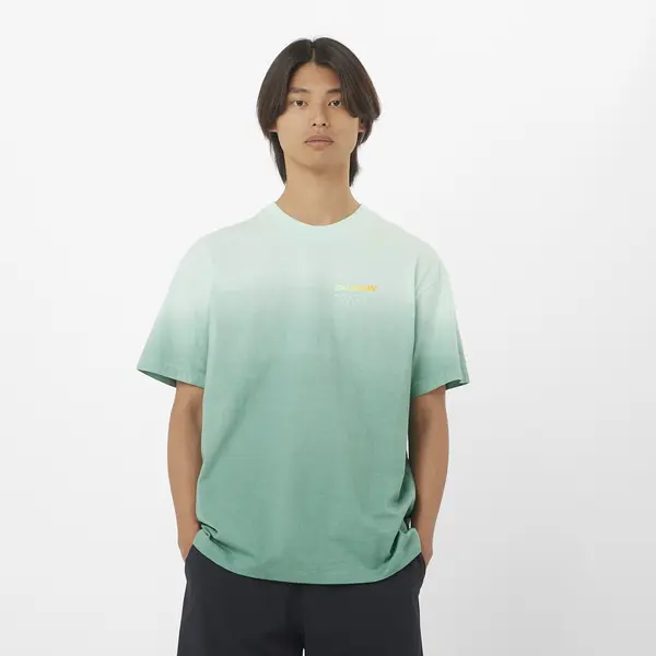 SALOMON Shortney Ss Tee U - Bay / Dynasty Green