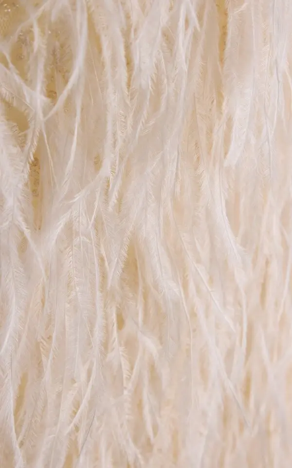 TWP Feather And Bead-embellished Silk Mini Dress