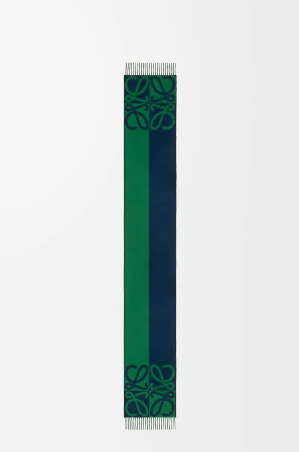 Loewe Scarf In Wool And Cashmere - Navy/green