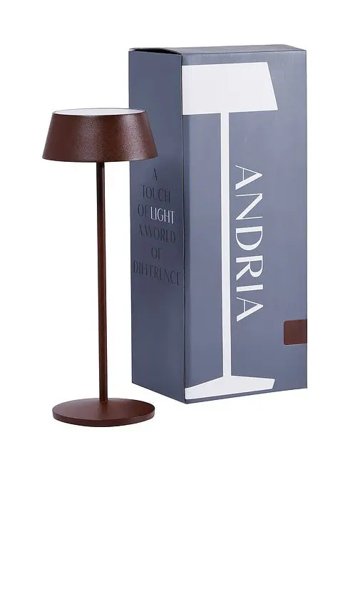 THE FAVORITES Andria Rechargeable Table Light In Brown - Rust