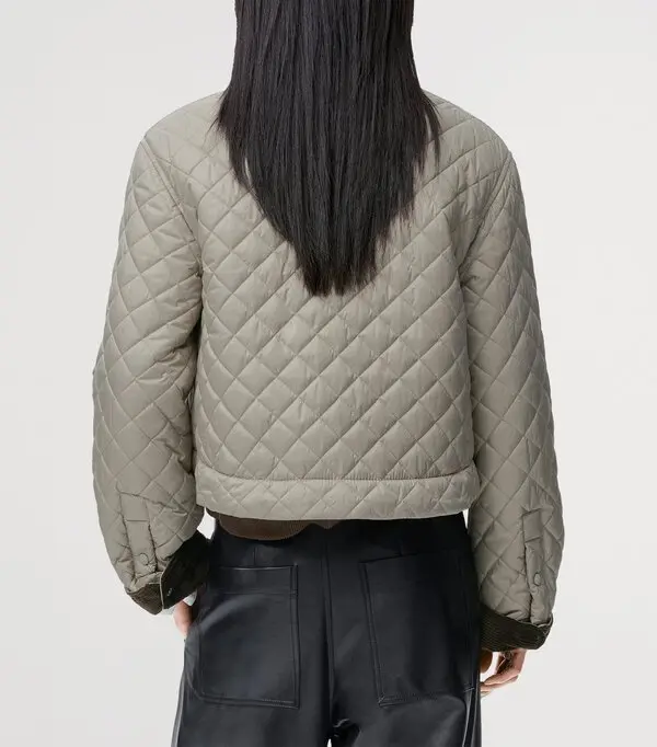 Loewe Quilted Jacket With Corduroy Collar - Grey