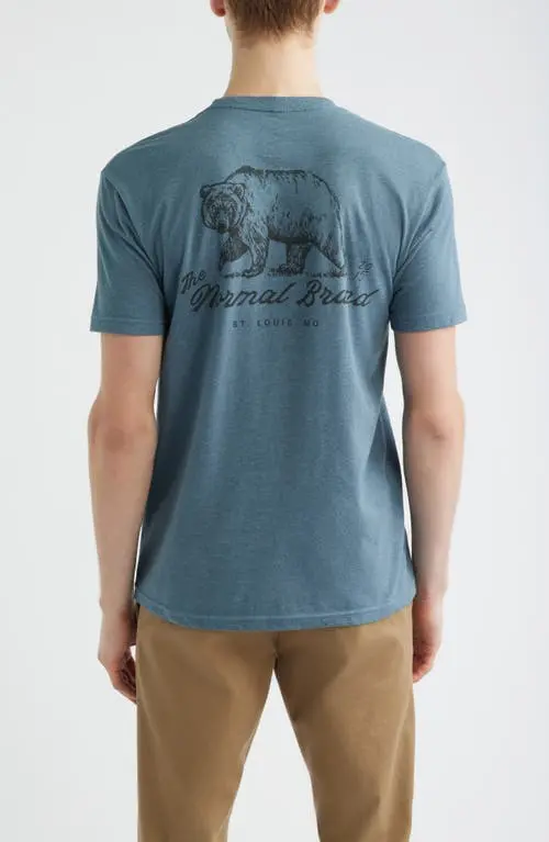 THE NORMAL BRAND Illustrated Bear Graphic T-shirt