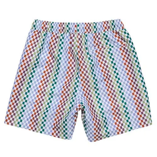 SNAPPER ROCK 4 Way Stretch Swim Short - Block Party