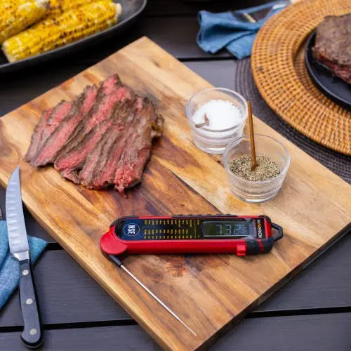 MAVERICK Pro-temp Professional Thermocouple Thermometer