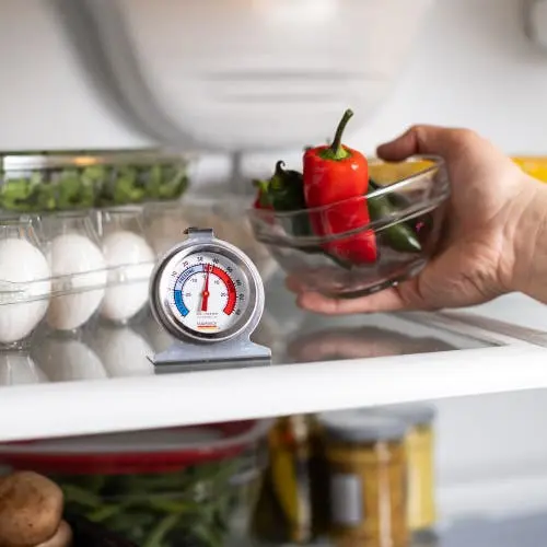 MAVERICK Refrigerator/freezer Thermometer