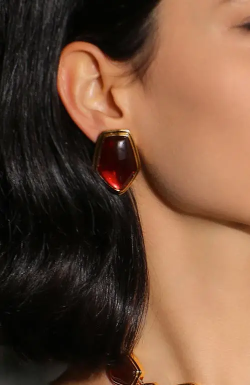 RETRO CHIC Rome Velvet Earrings