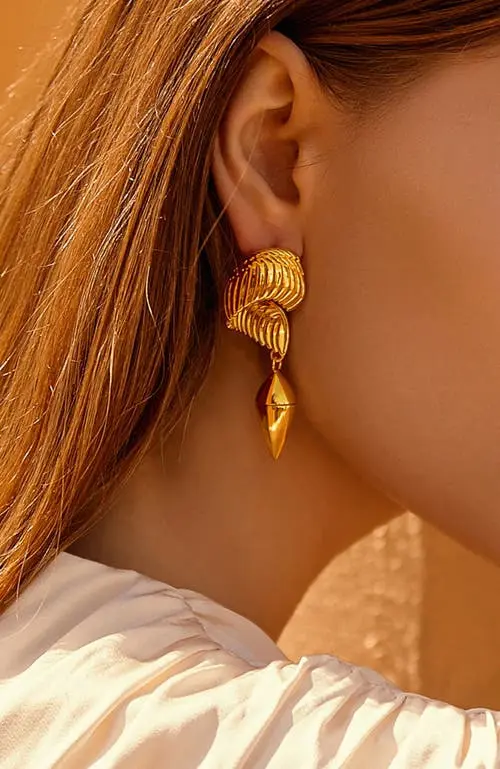 RETRO CHIC Hawk Wing Earrings