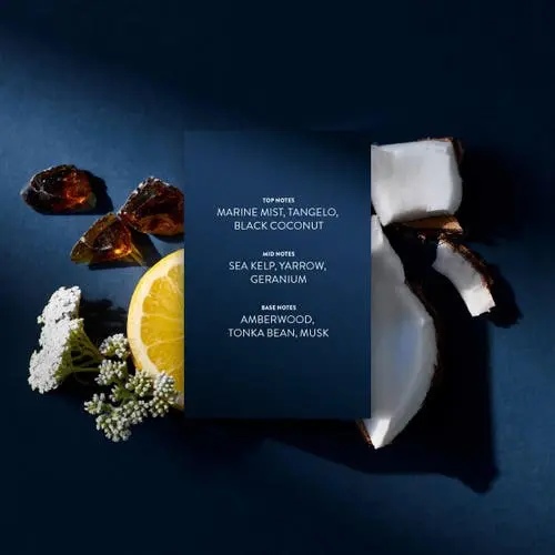 MICHAEL MALUL Ocean Noir Eau De Parfum