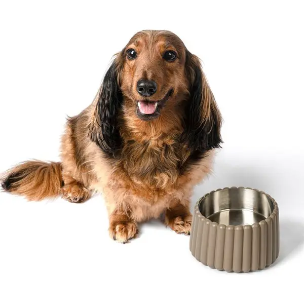 THE LICKER STORE Ripple Ridge Small/medium Slanted Concrete And Stainless Steel Bowl 16oz Pet Feeder - Brown