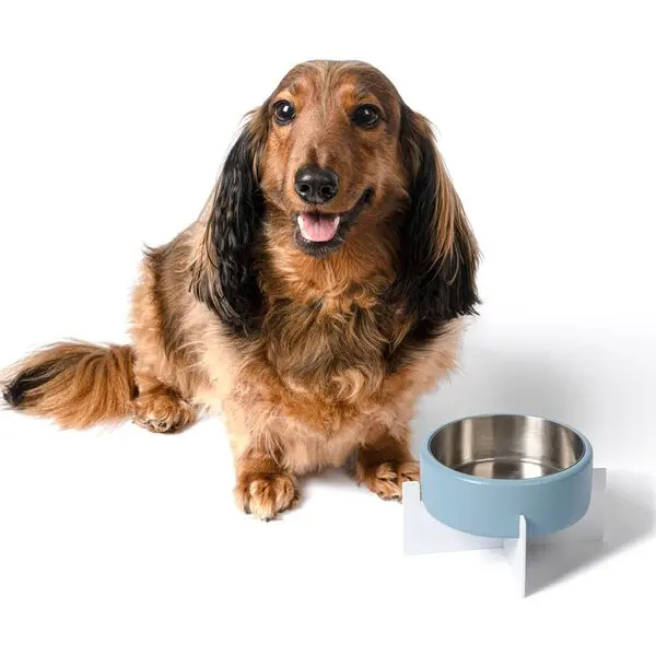 THE LICKER STORE Intersecta Small/medium Concrete And Stainless Steel Bowl 16oz With Metal Stand Pet Feeder - Blue/white