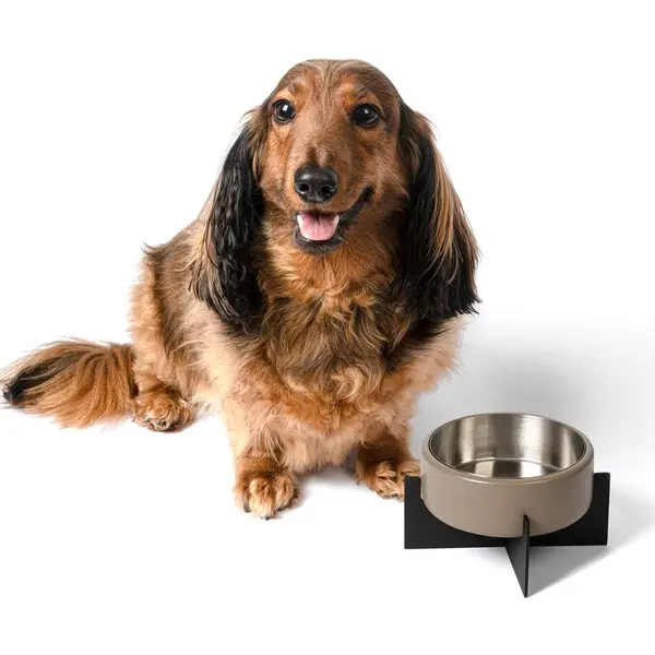 THE LICKER STORE Intersecta Small/medium Concrete And Stainless Steel Bowl 16oz With Metal Stand Pet Feeder - Brown/black
