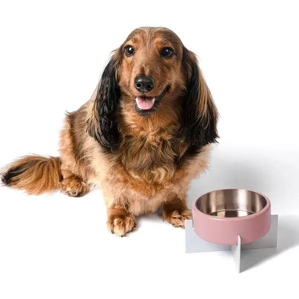 THE LICKER STORE Intersecta Small/medium Concrete And Stainless Steel Bowl 16oz With Metal Stand Pet Feeder - Pink/white
