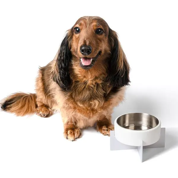 THE LICKER STORE Intersecta Small/medium Concrete And Stainless Steel Bowl 16oz With Metal Stand Pet Feeder - White