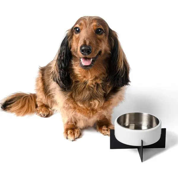 THE LICKER STORE Intersecta Small/medium Concrete And Stainless Steel Bowl 16oz With Metal Stand Pet Feeder - White/black
