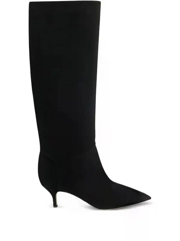 Casadei Pointed Flat Knee-high Boots