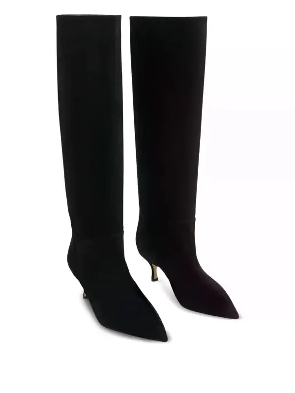 Casadei Pointed Flat Knee-high Boots