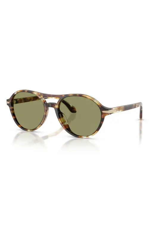 Giorgio Armani 55mm Round Sunglasses