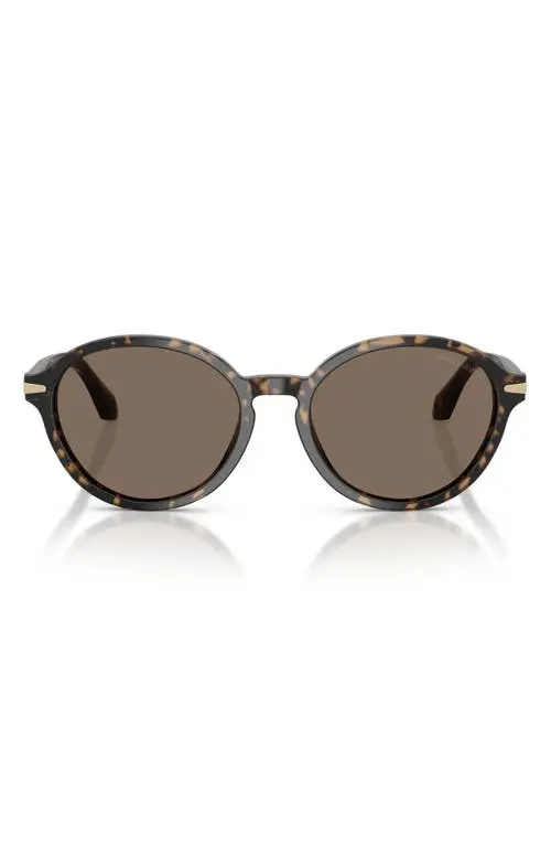 Giorgio Armani 53mm Oval Sunglasses - Brown