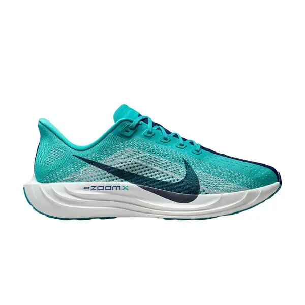 Nike Pegasus Plus - Blue