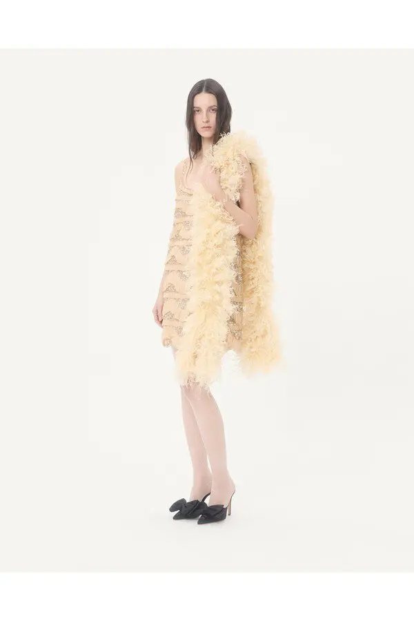 Valentino Garavani Feathers Scarf With Ostrich And Turkey Feathers - Natural